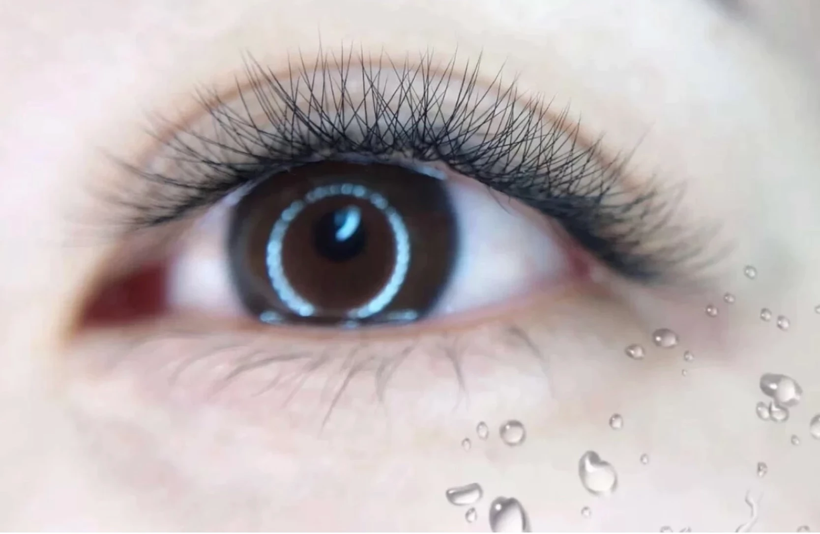 Things You Probably Don't Know About False Lashes - Ohlalaltd-Strip Eyelash and Extensions ...