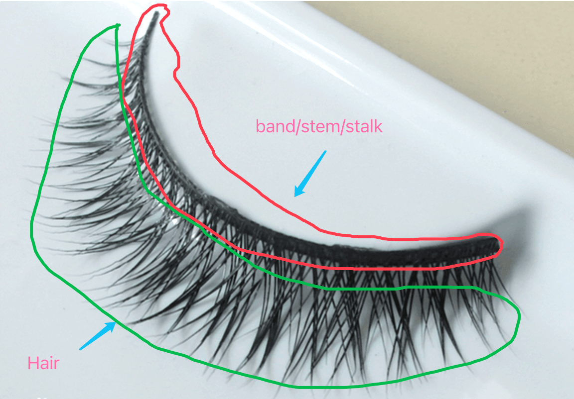 What Are The Types Of False Eyelash Band? - Ohlalaltd-Strip Eyelash and ...